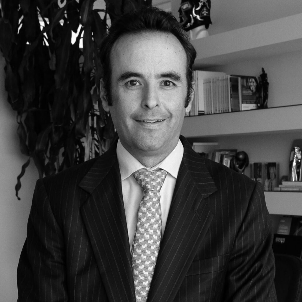 Consejo Directivo – Fundemex