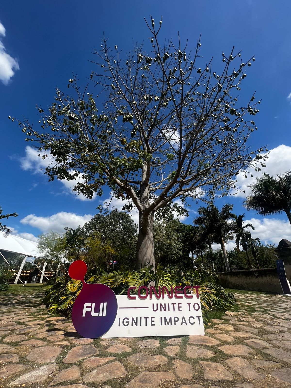 Fundemex en el FLII ¡Promoviendo la Inversión de Impacto en México ...